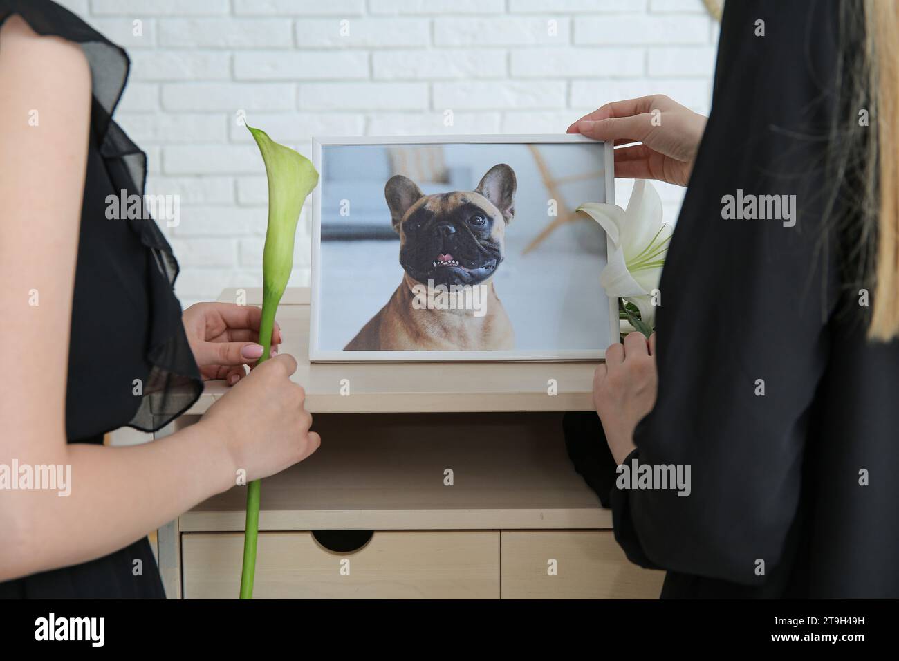 Women with picture of dog and flowers in room, closeup. Pet funeral ...