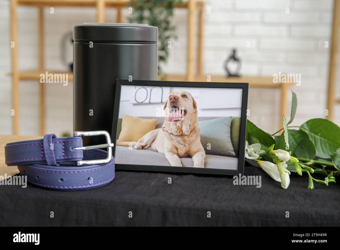 Frame with picture of dog, collar, mortuary urn and flowers on table in ...