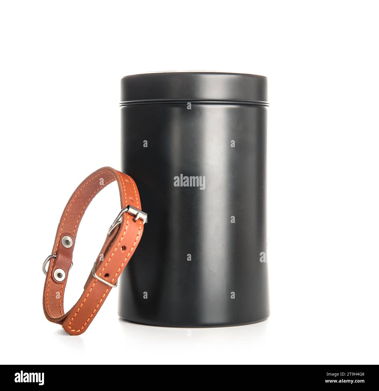 Mortuary urn and dog collar isolated on white background. Pet funeral ...
