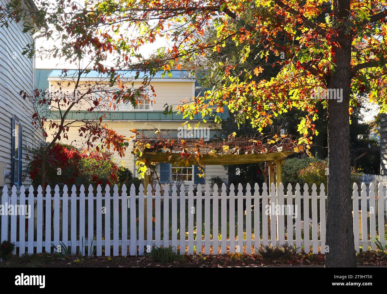 Beautiful Fall Color in the Home Garden Behind the White Picket Fence ...