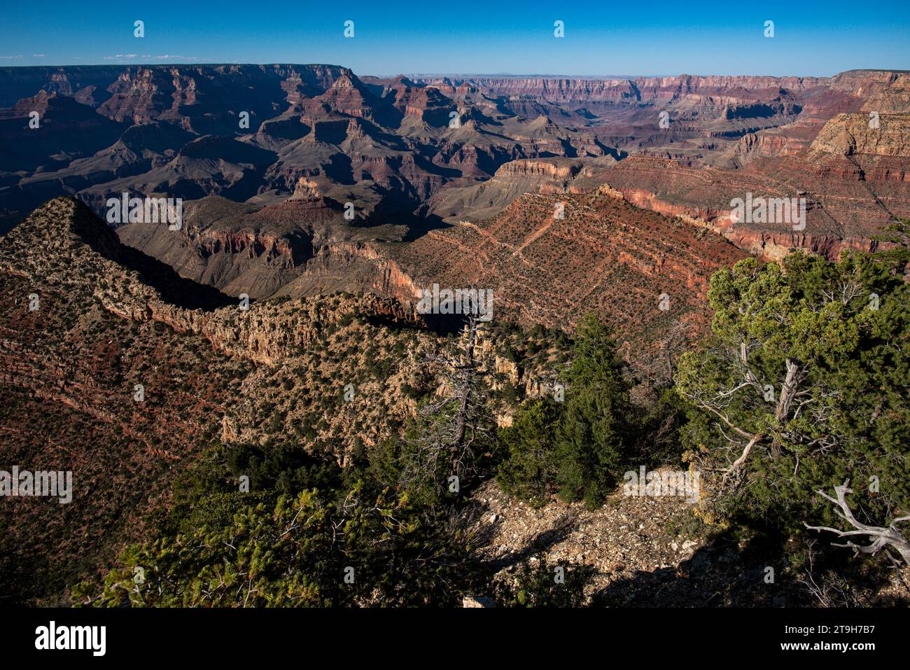 Canyon national park. Red rocks canyon in Utah. Nature landscape Stock ...