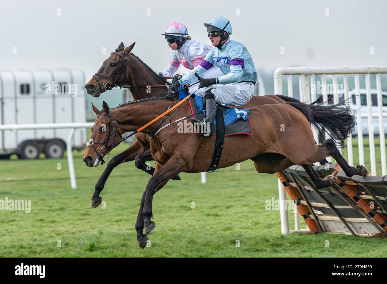 Salley gardens hi-res stock photography and images - Alamy