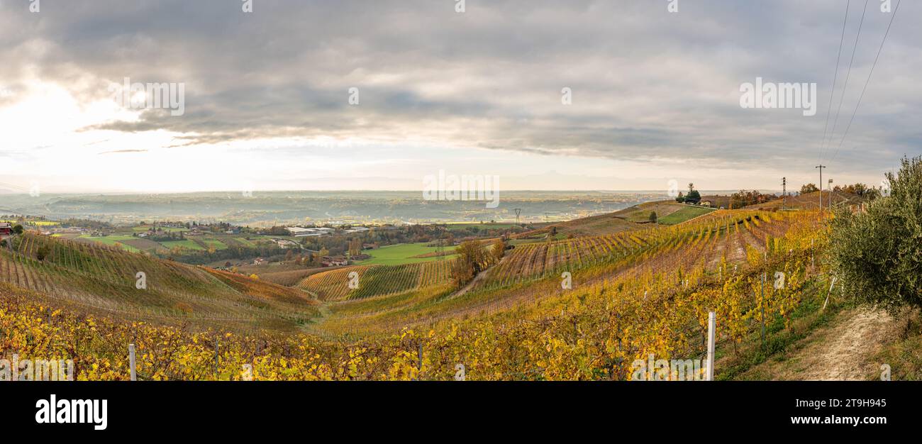The hills of the Langhe, a breathtaking wine-growing landscape, have ...