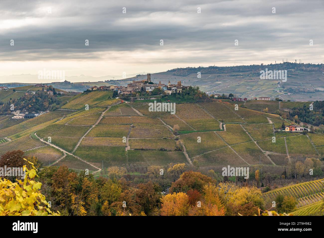 The hills of the Langhe, a breathtaking wine-growing landscape, have ...