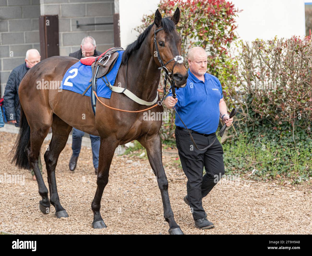Third race at Wincanton March 30th 2022 Stock Photo - Alamy