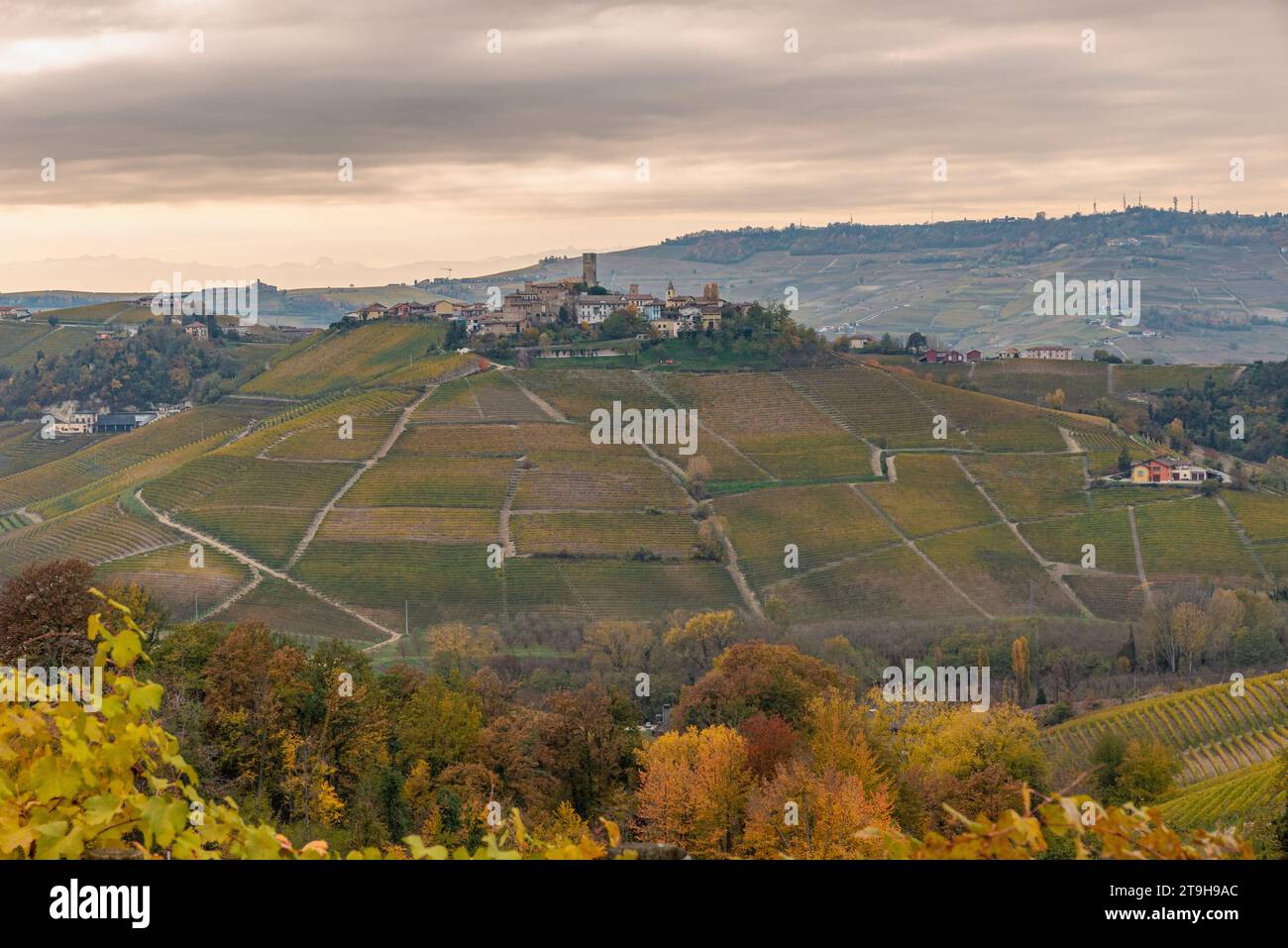 The hills of the Langhe, a breathtaking wine-growing landscape, have ...
