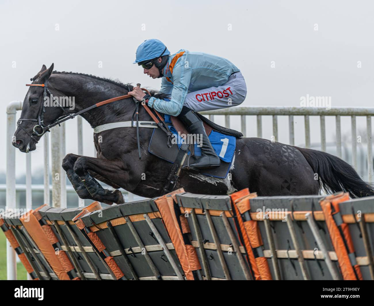 Fiveandtwenty clearing the last hurdle Stock Photo - Alamy