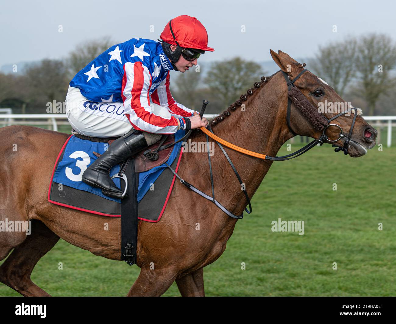 Maliboo and Alpha Carinae Stock Photo - Alamy