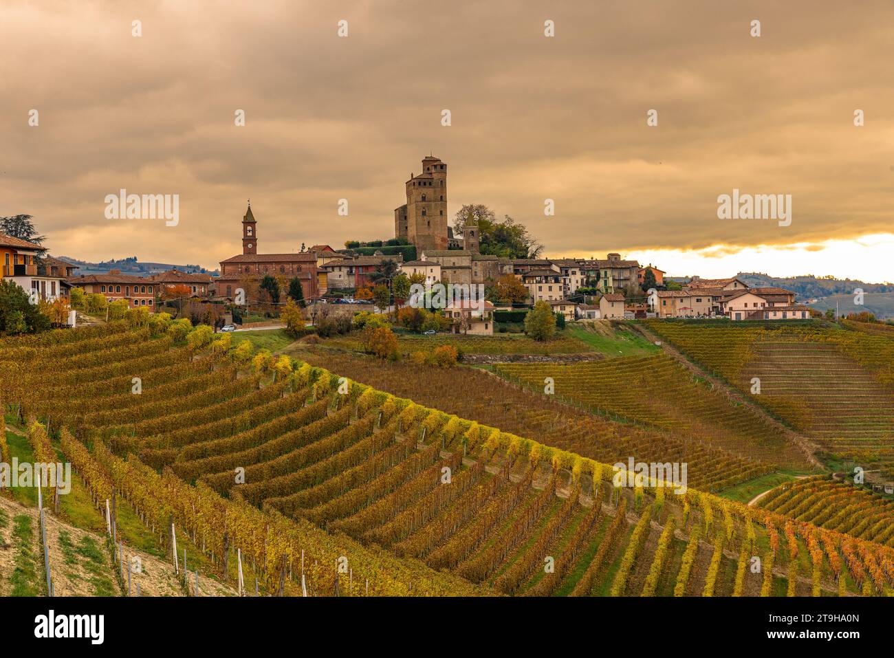 The hills of the Langhe, a breathtaking wine-growing landscape, have ...