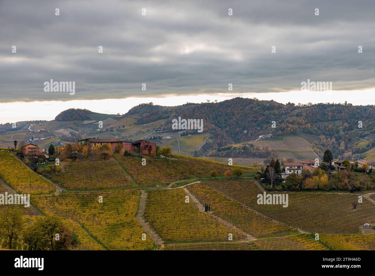 The hills of the Langhe, a breathtaking wine-growing landscape, have ...
