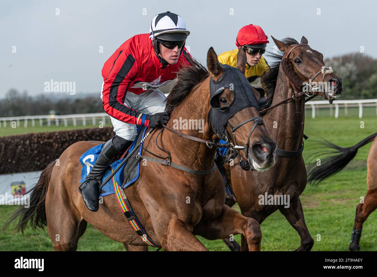 Red Happy wins the fifth race Stock Photo - Alamy