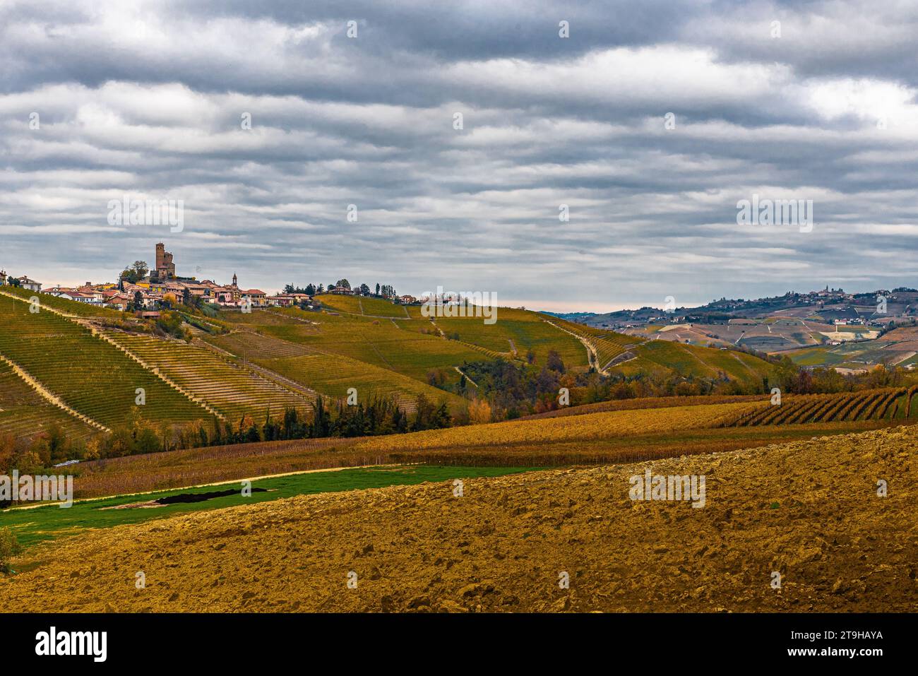 The hills of the Langhe, a breathtaking wine-growing landscape, have ...