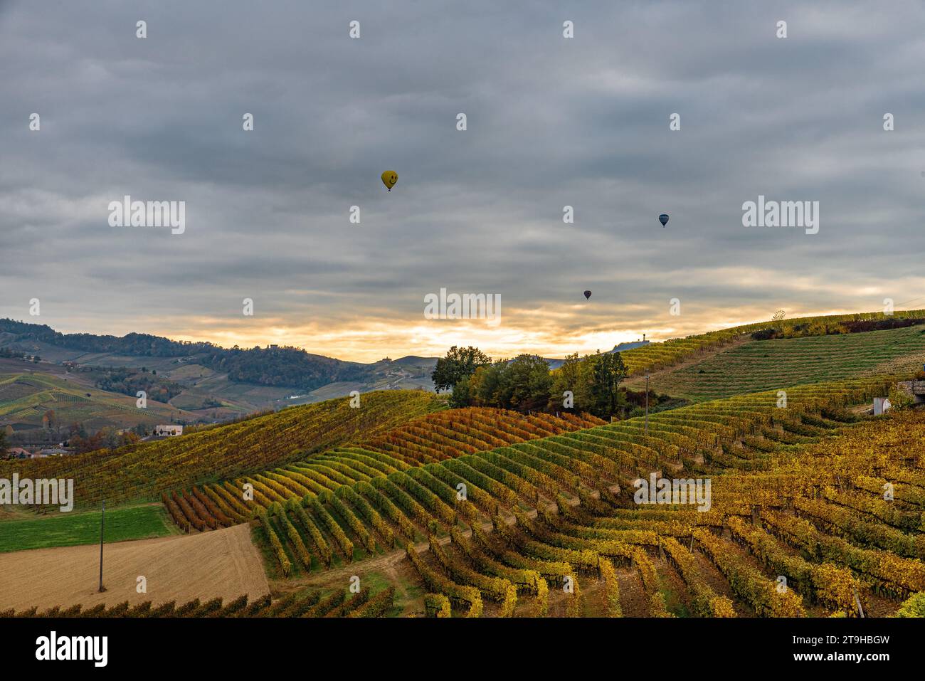 The hills of the Langhe, a breathtaking wine-growing landscape, have ...