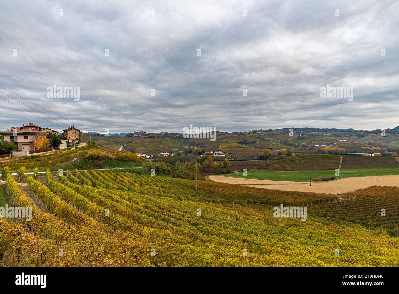 The hills of the Langhe, a breathtaking wine-growing landscape, have ...