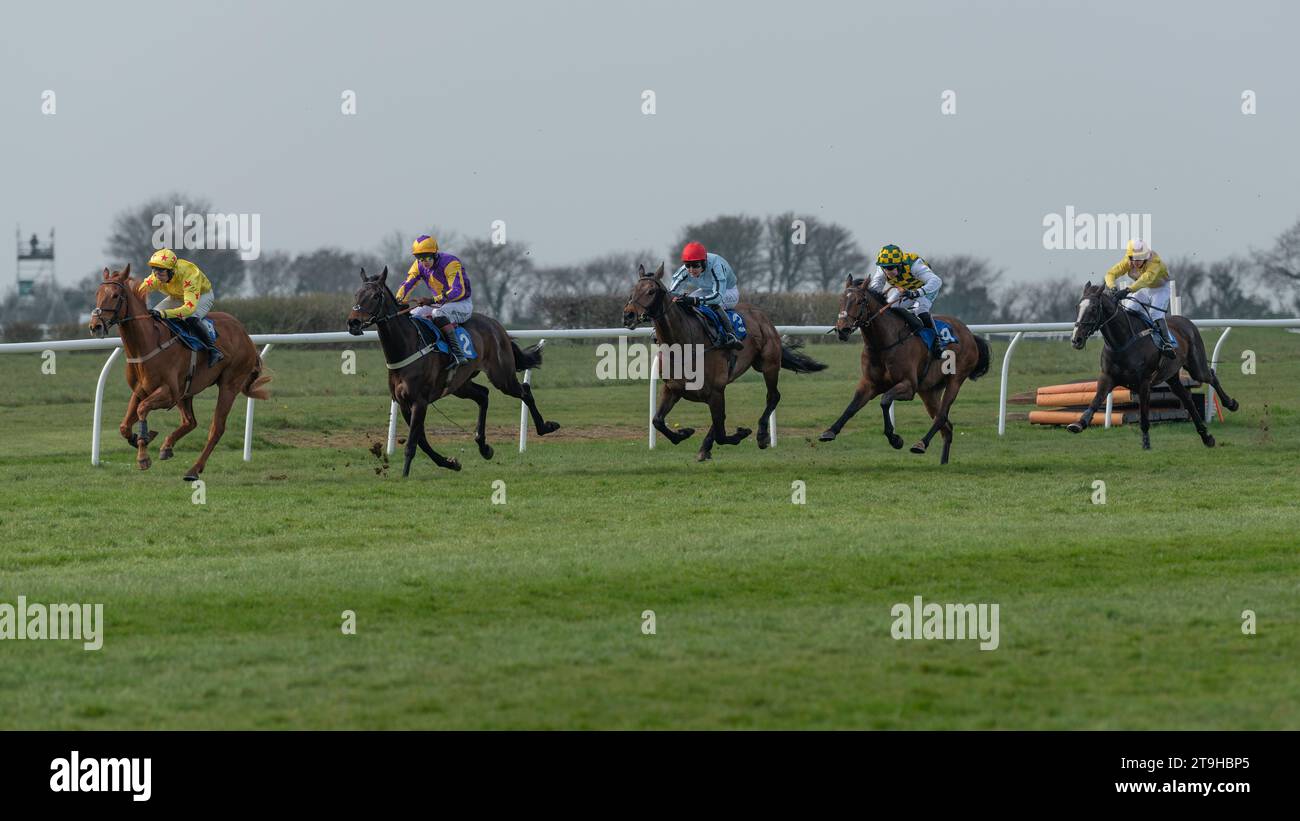 1st race field hi-res stock photography and images - Alamy