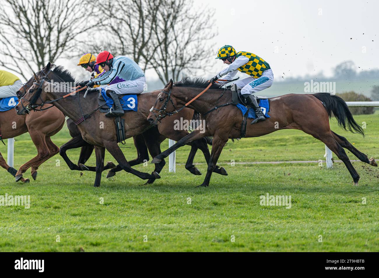 Majestic merlin trained by pj hobbs hi-res stock photography and images ...