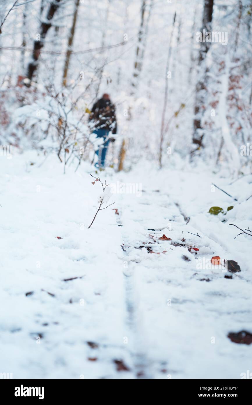 Man person talking a walk in winter, snow coating, wallpaper fresh ... Man person talking a walk in winter, snow coating, wallpaper fresh ...