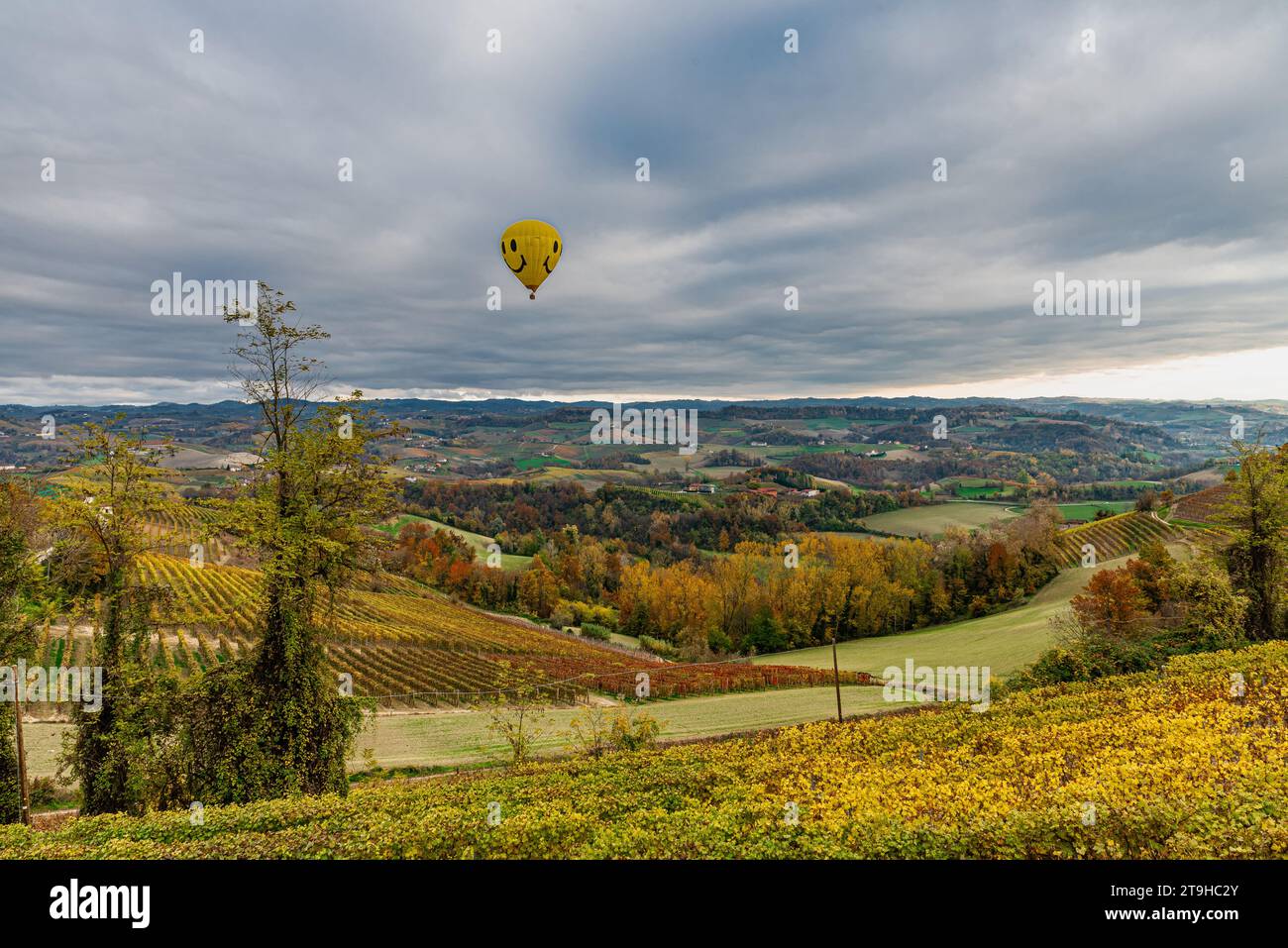 The hills of the Langhe, a breathtaking wine-growing landscape, have ...
