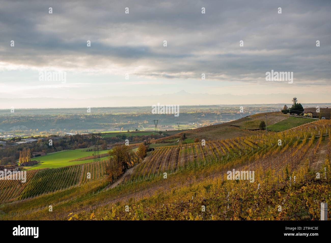 The hills of the Langhe, a breathtaking wine-growing landscape, have ...