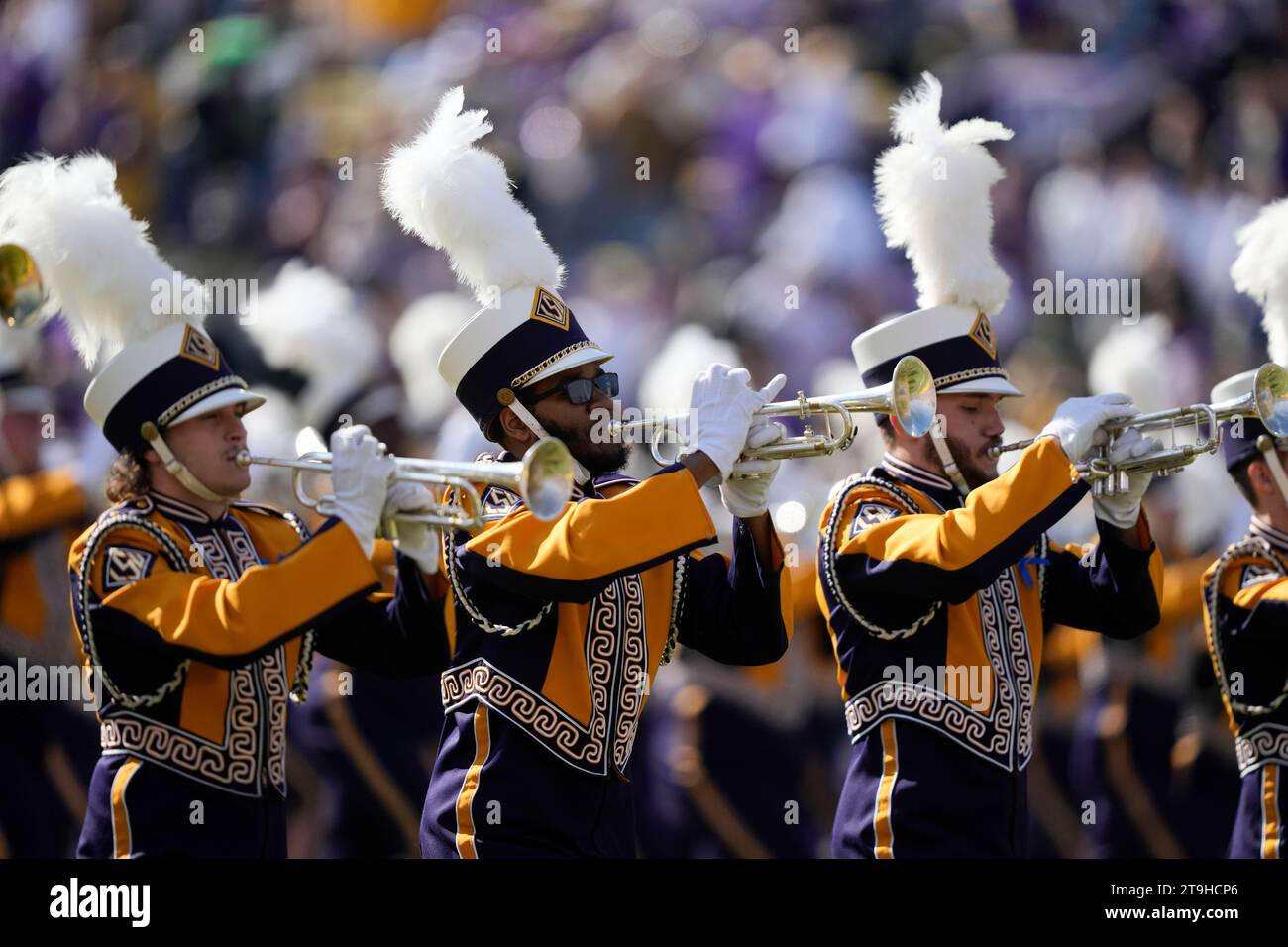 imembers of the LSU Marching Band, The Golden Band From Tigerland ...