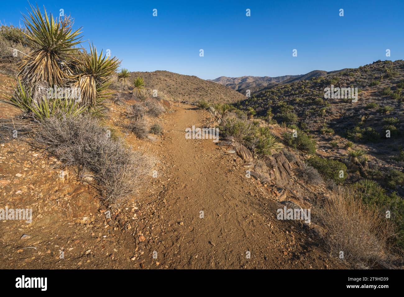 Lost Horse Climb In Joshua Tree – BLGQMG