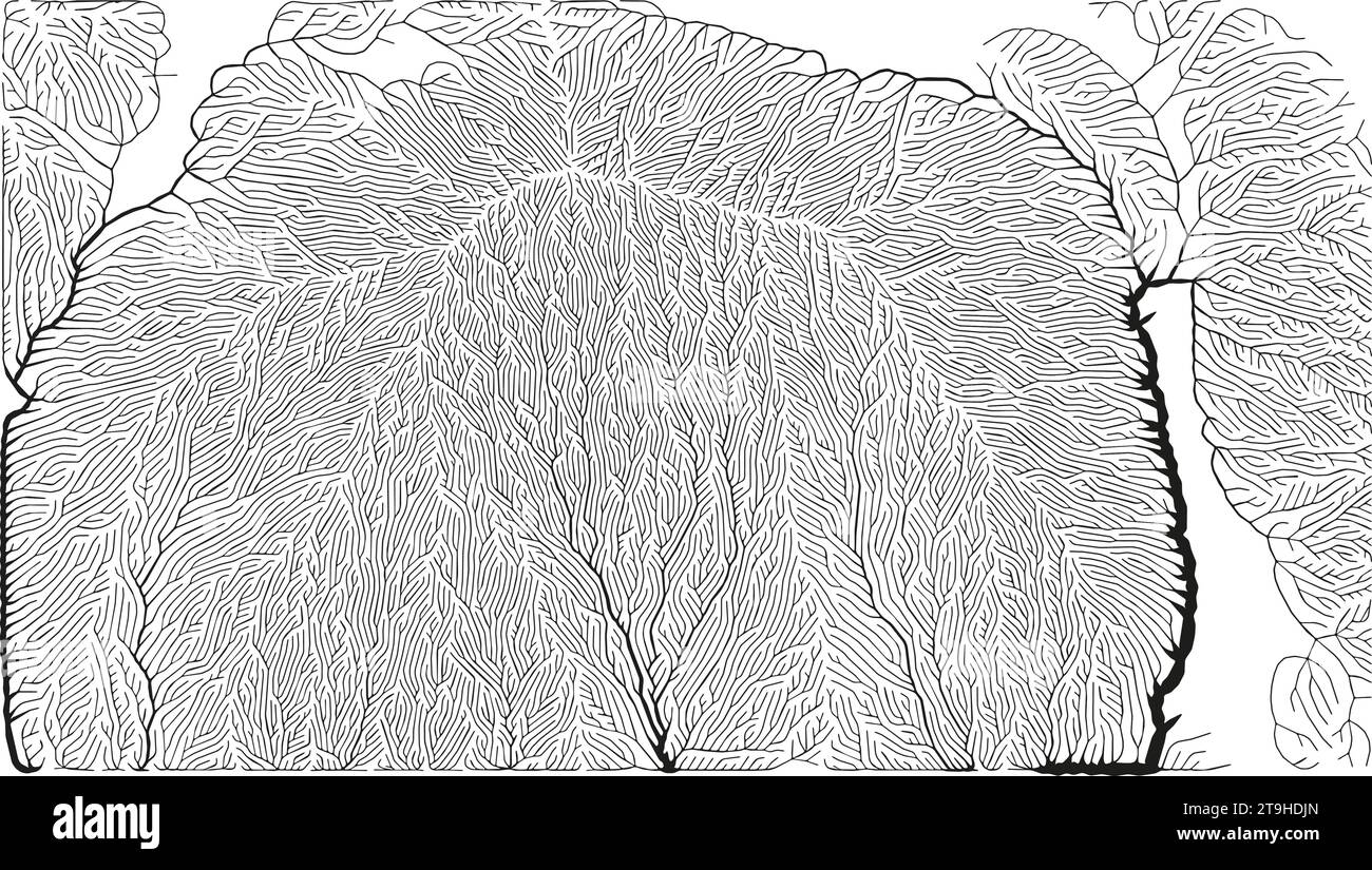 Growth Pattern Generative Branching Structure Organic Net Of Vessels Texture Stock Vector