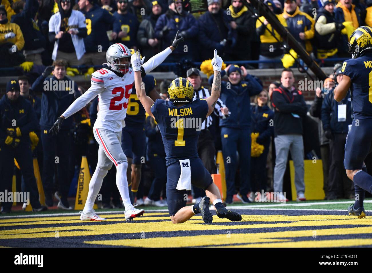 ANN ARBOR, MI - NOVEMBER 25: Michigan Wolverines wide receiver Roman ...