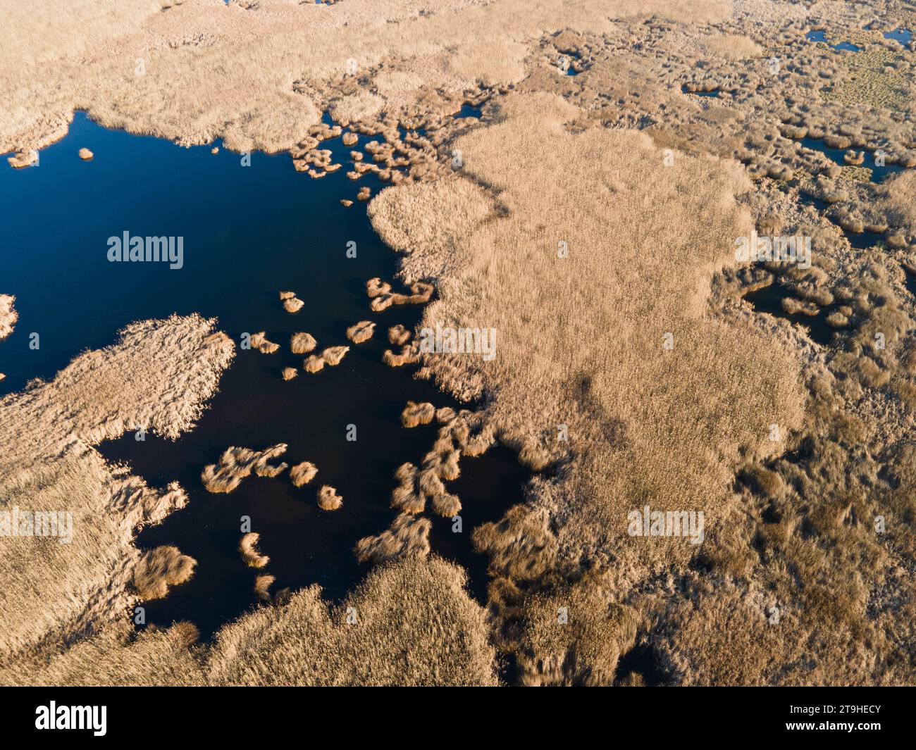 Aerial Autumn view of Dragoman marsh, Sofia region, Bulgaria Stock Photo - Alamy