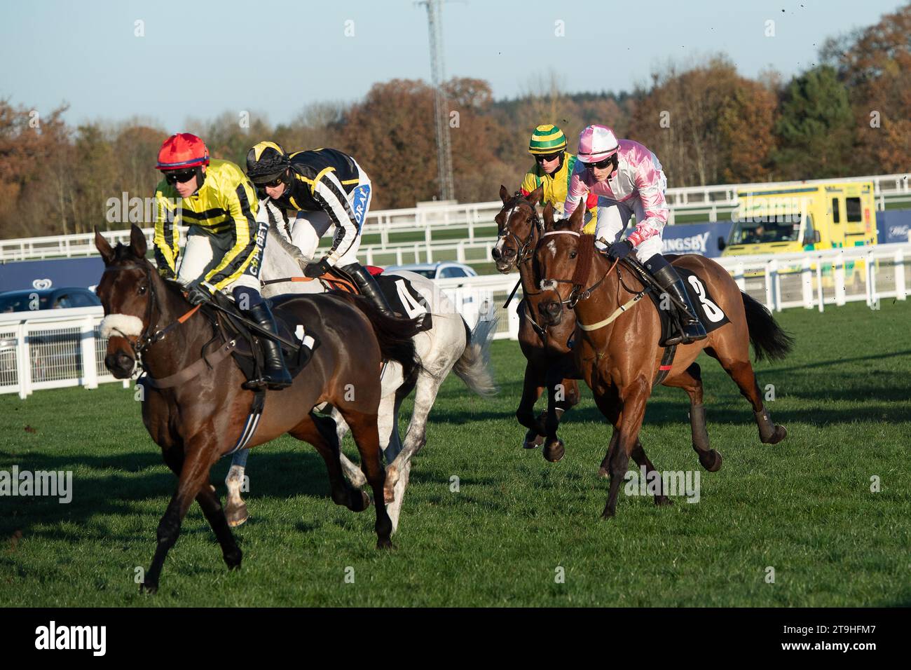 Ascot, UK. 25th November, 2023. Horse MidnightReflection ridden by ...