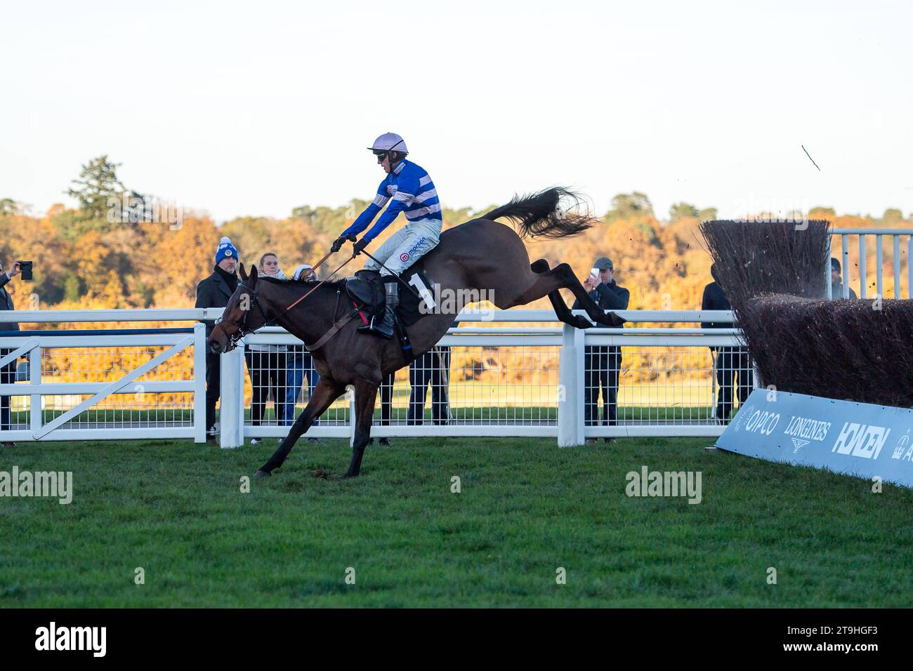 Pic dorhy ascot hi-res stock photography and images - Alamy