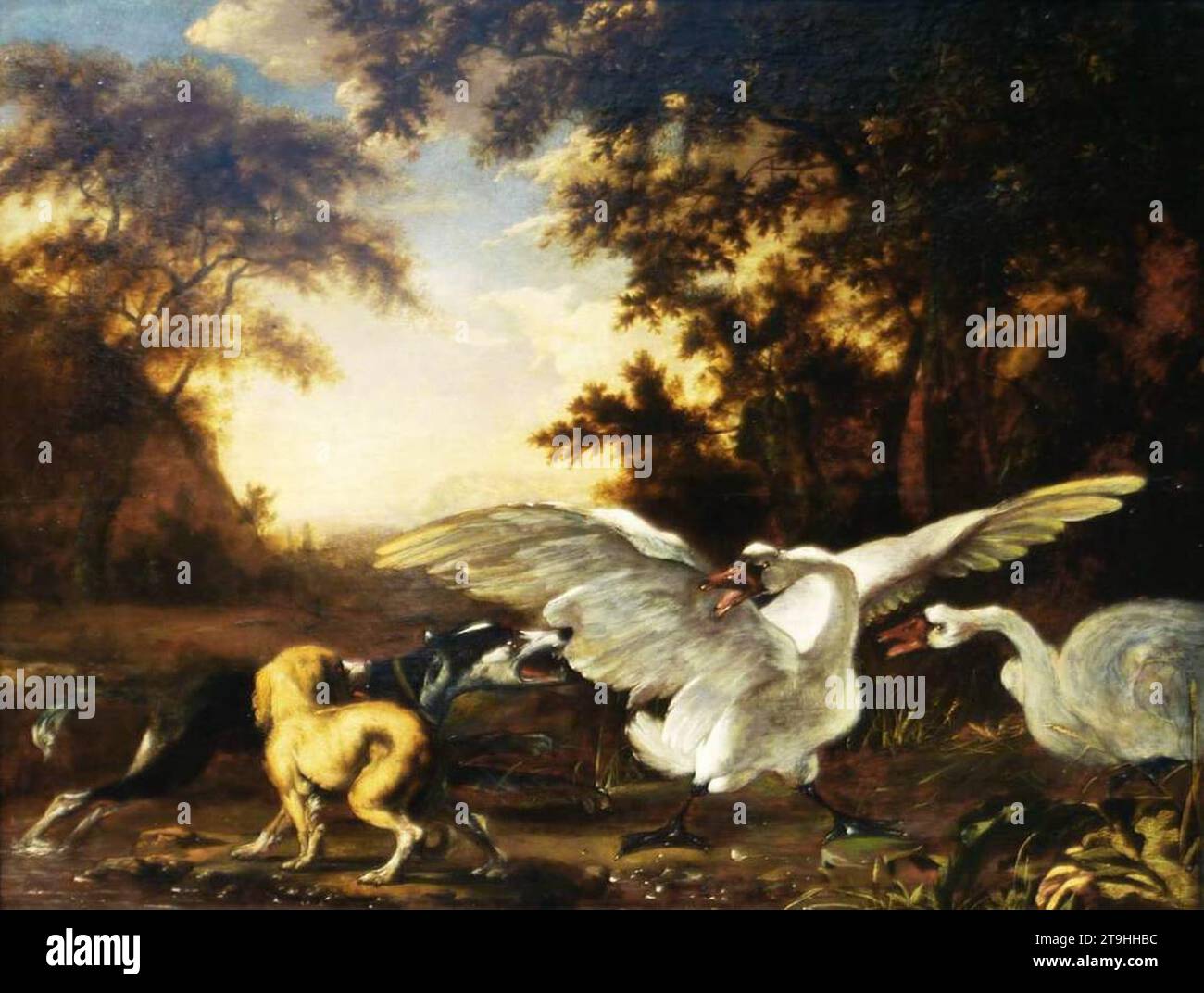 Two Dogs and Two Swans - by Abraham Danielsz. Hondius Stock Photo - Alamy