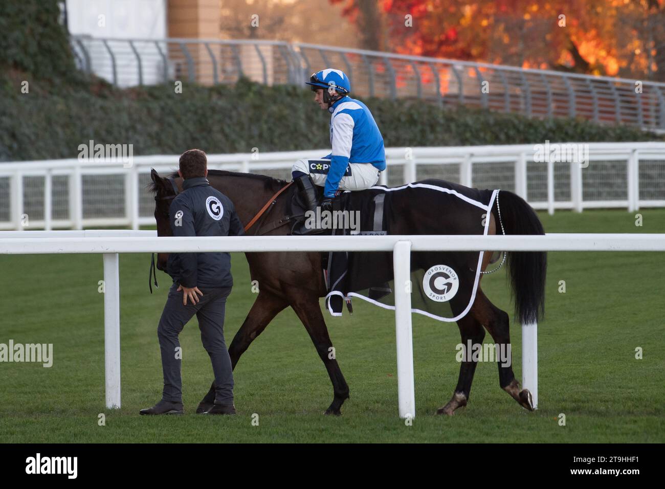 Ascot, UK. 25th November, 2023. Horse Boothill (No 1) ridden by jockey ...