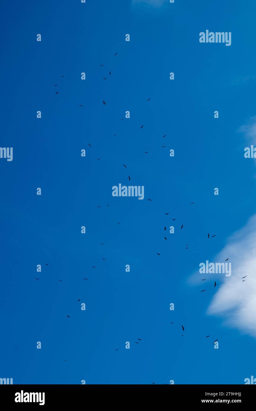 Dark blue sky over tropical hi-res stock photography and images - Alamy