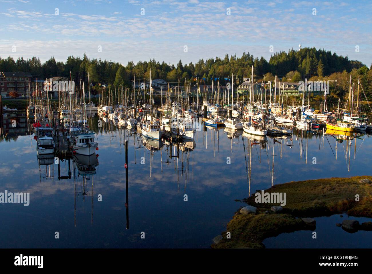 Commercial & pleasure vessels moored in Ucluelet harbour/marina, west ...
