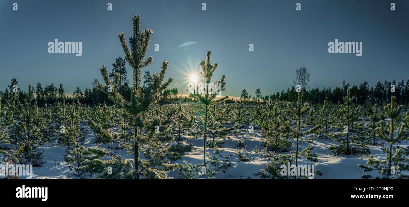Scenic close up panorama on winter Sunset, Sun shine from blue sky over ...