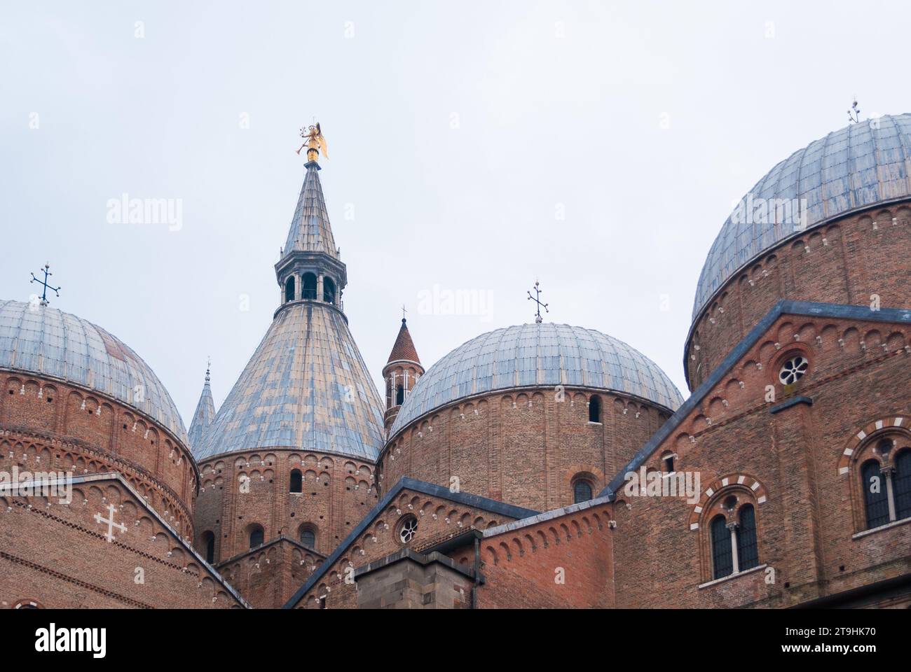 The domes of the Sant'Antonio basilica in Padua in northern Italy Stock ...