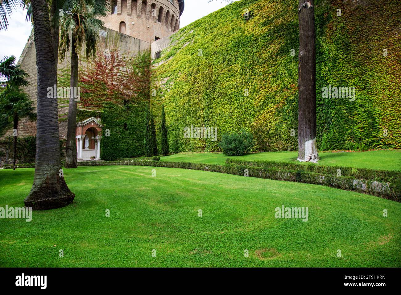 Vatican gardens in autumn: fantastic large palm trees and ivy wraps ...
