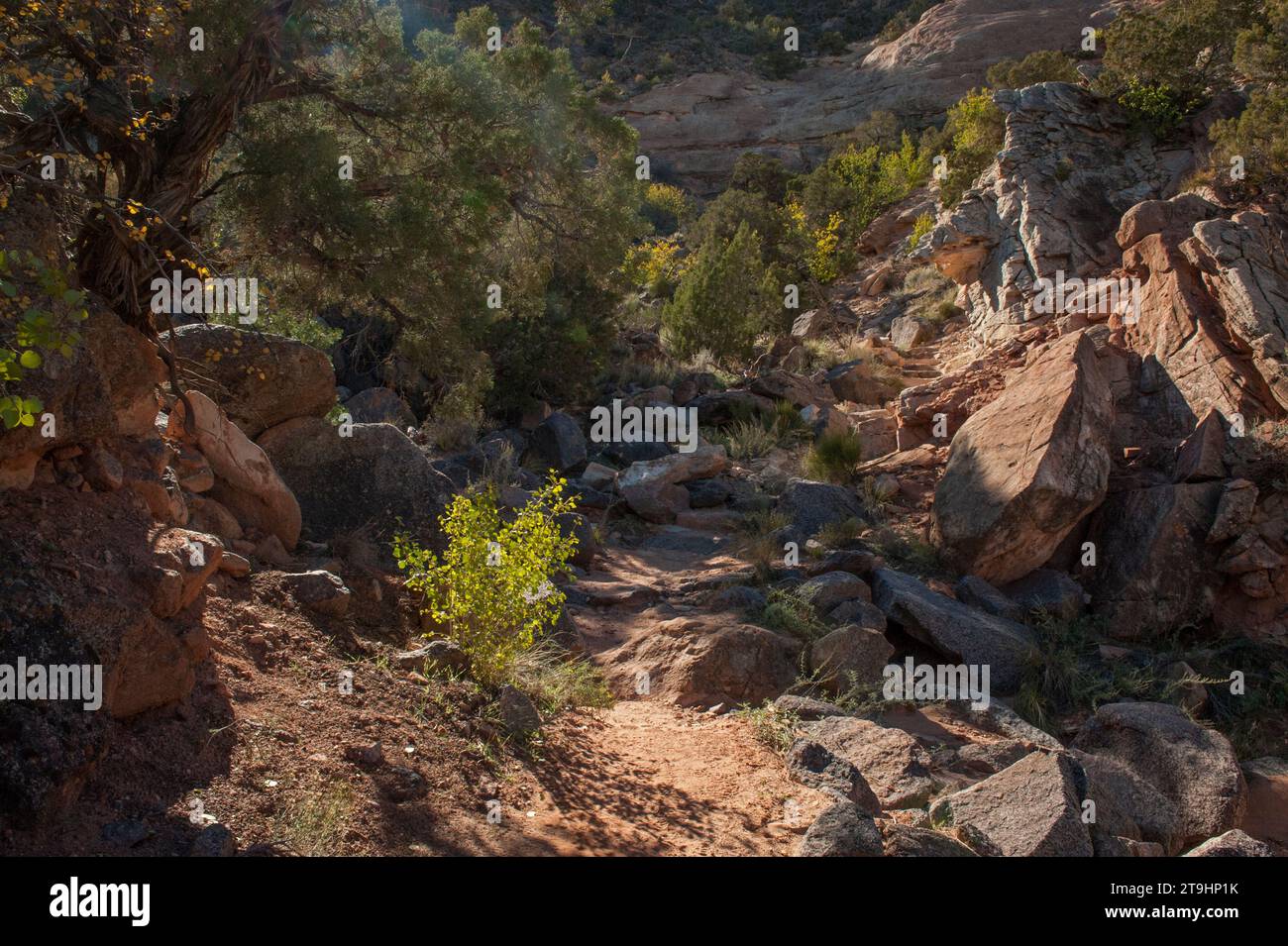 At the bottom of the Liberty Cap Trail in the Colorado National ...