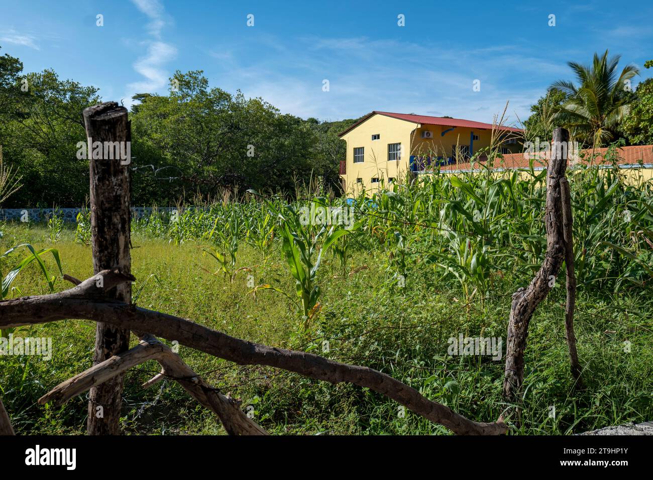 Wooden Fence in Front of a Corn Field with Barn and House by the Woods ...