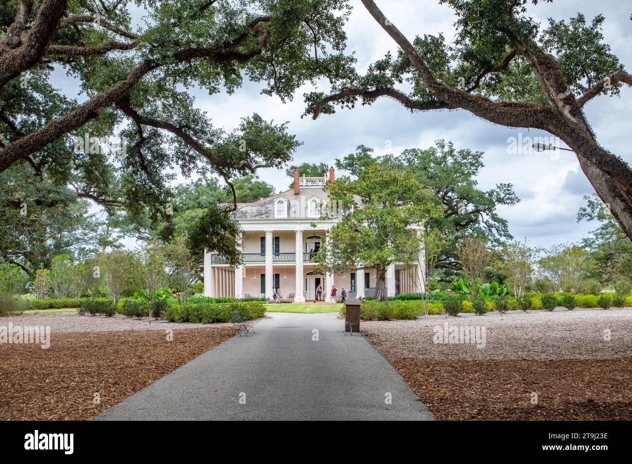 Vacherie, USA - October 27, 2023:scenic alley at oak alley plantation ...