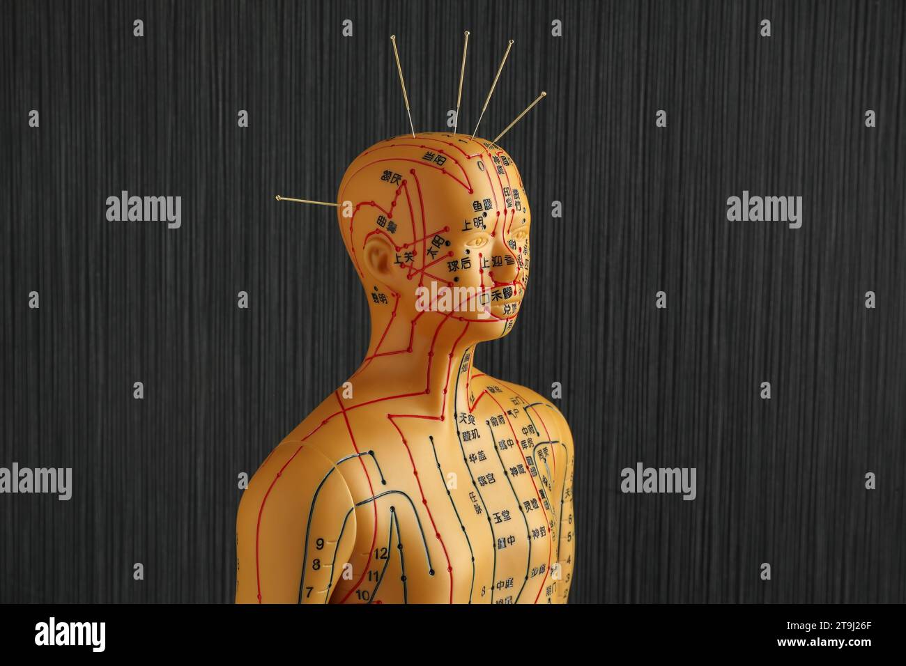 Acupuncture - alternative medicine. Human model with needles in head ...