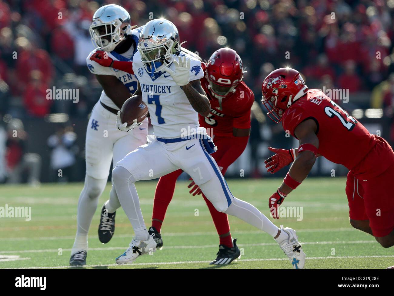 Barion brown hi-res stock photography and images - Alamy
