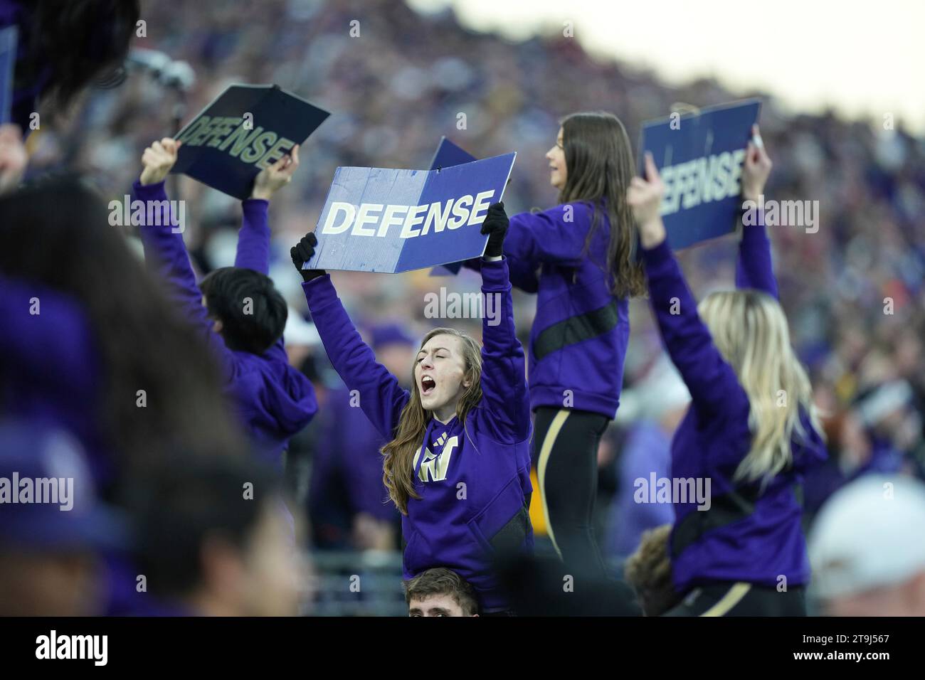 SEATTLE, WA - NOVEMBER 25: Washington cheerleaders in action during a ...
