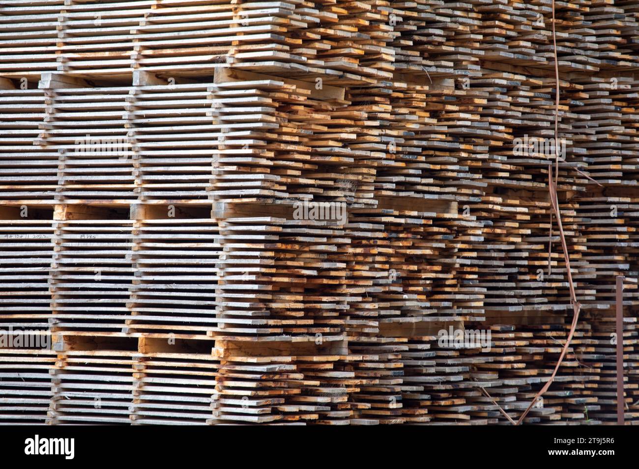 Drying stacked hardwood timber planks, Australian hardwood.Closeup ...