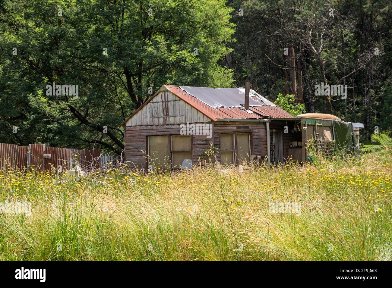Powelltown, Victoria, Australia - November 25th 2023: Old shack in ...