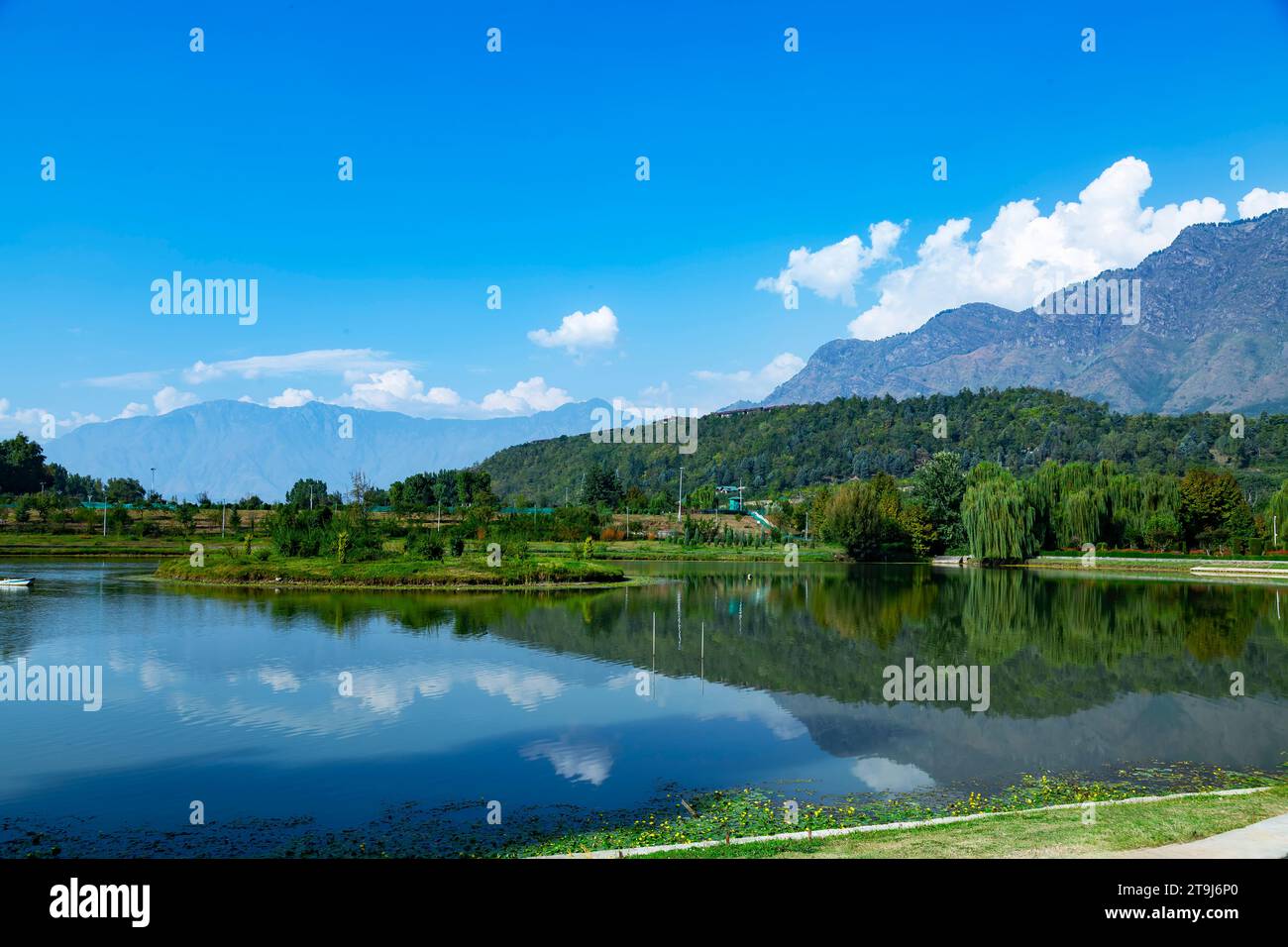 Jawaharlal Nehru Memorial Botanical Gardens in Srinagar,Jammu,Kashmir ...