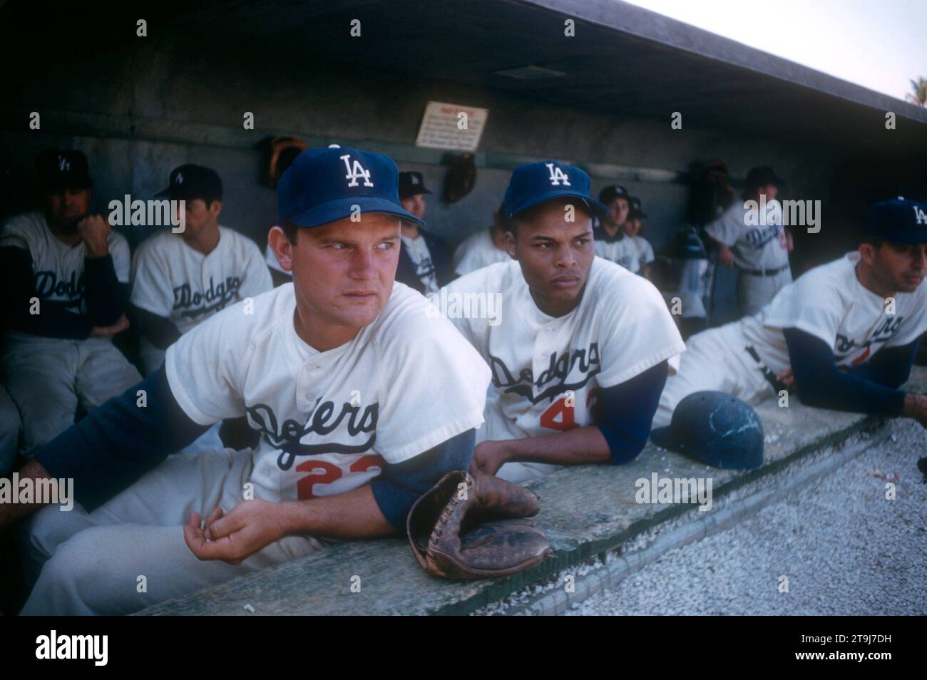 VERO BEACH, FL - MARCH, 1958: Don Zimmer #23 and Charlie Neal #43 of ...