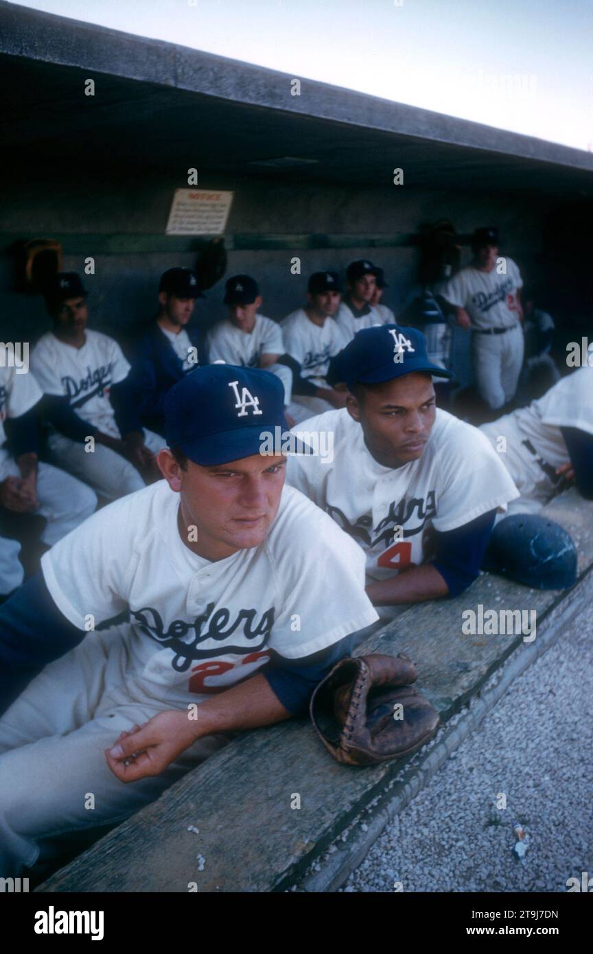 VERO BEACH, FL - MARCH, 1958: Don Zimmer #23 and Charlie Neal #43 of ...