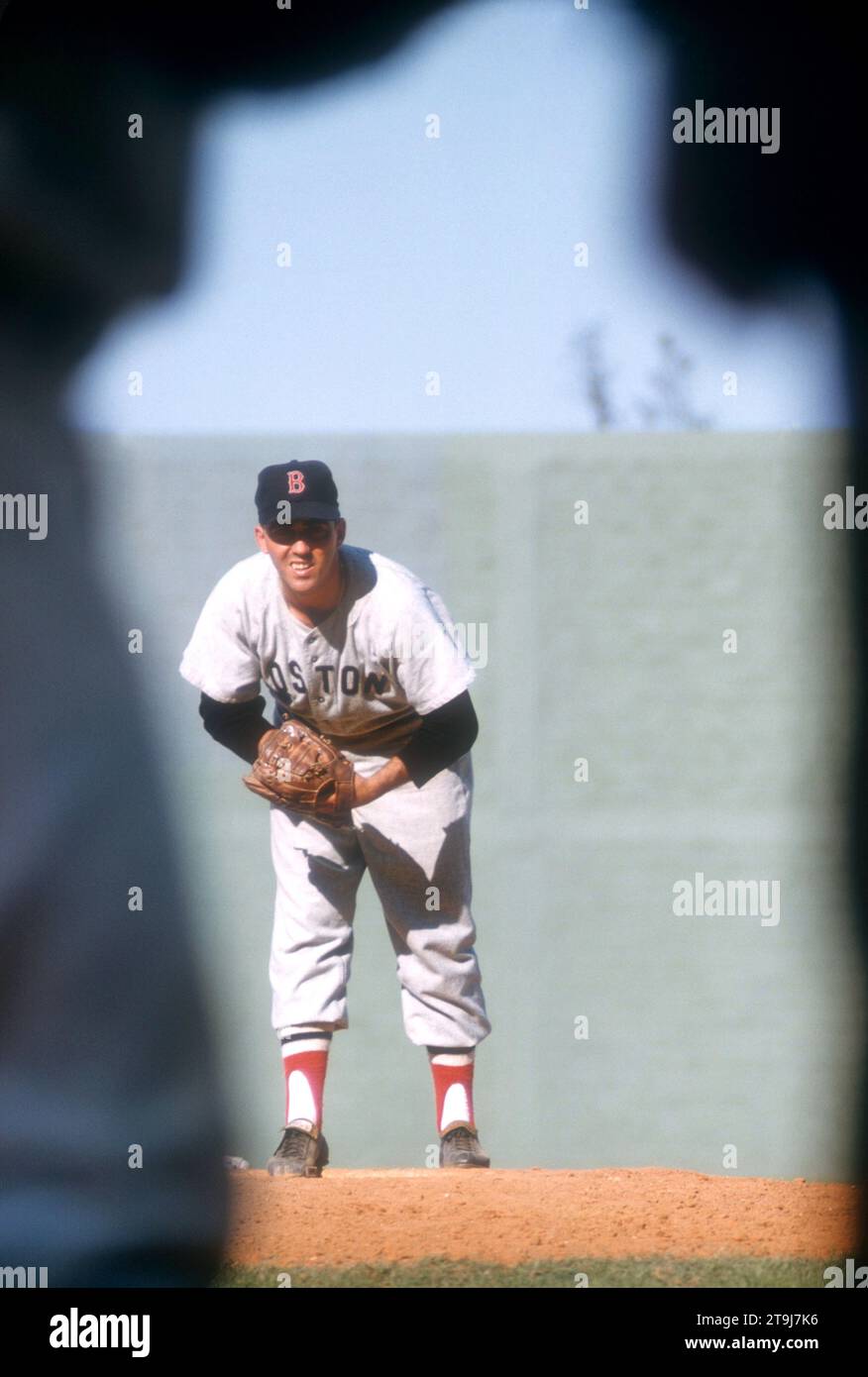 VERO BEACH, FL - MARCH, 1958: Pitcher Tom Brewer #23 of the Boston Red Sox looks in for the sign ...
