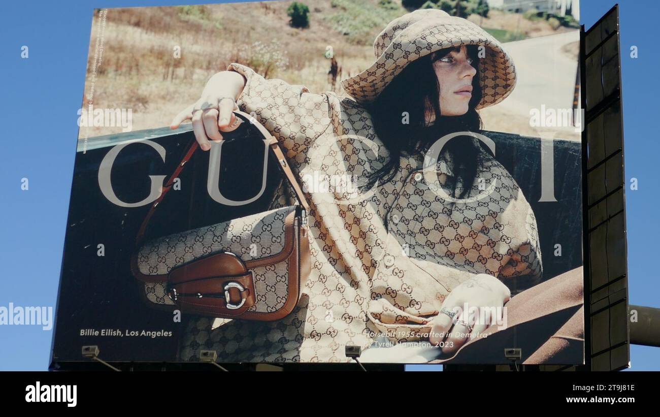 Los Angeles, California, USA 25th November 2023 Singer Billie Eilish ...